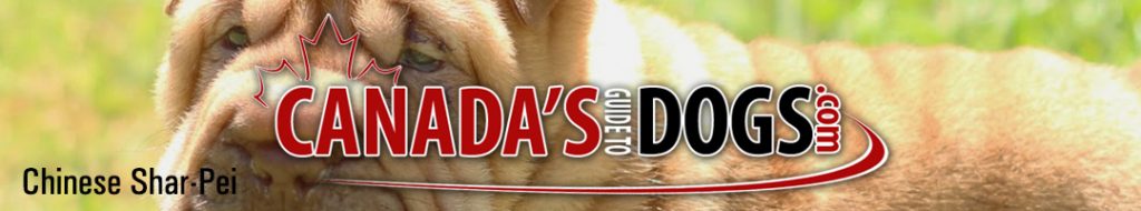 Shar Pei Breeders - Chinese Shar-Pei Puppies - Canada's Guide to Dogs