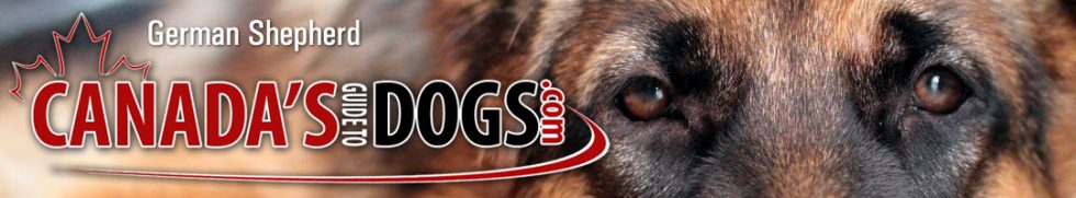 German Shepherd Breeders by Region - Canada's Guide to Dogs